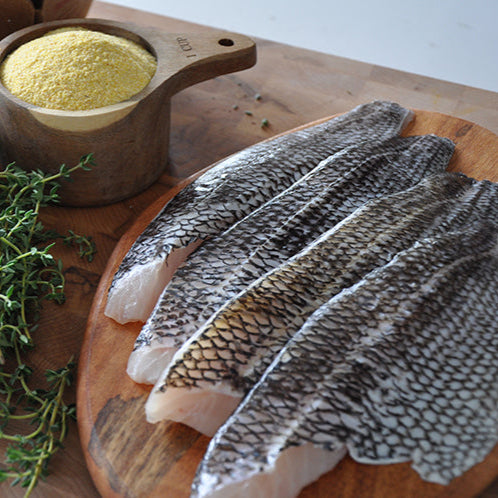 Black Sea Bass - Wulf's Fish