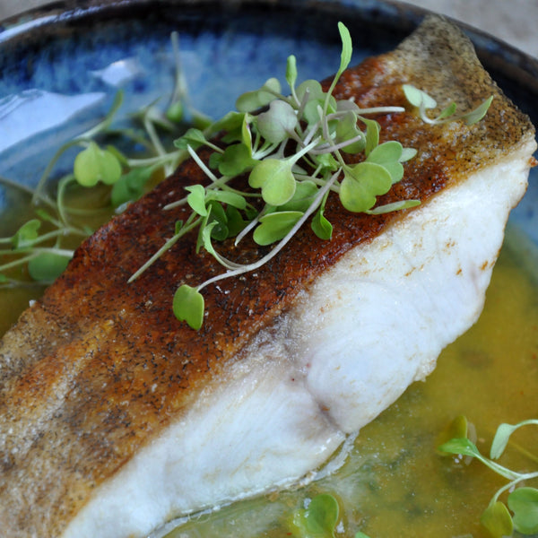 Just White Fish Box - Wulf's Fish