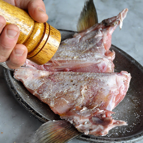 Fish Collars - Wulf's Fish